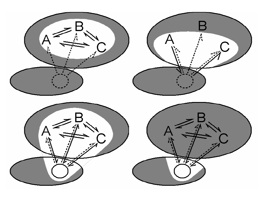 Is the brainstem conscious? – SelfAwarePatterns