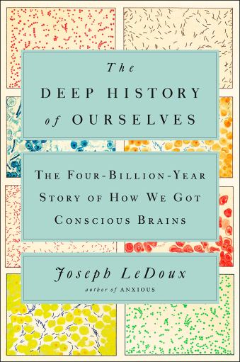 Joseph LeDoux’s theories on consciousness and emotions – SelfAwarePatterns